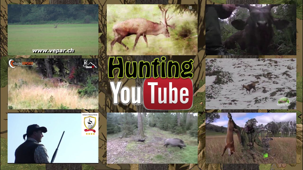 Hunting YouTube – buck hunting all over the world | Fieldsports Channel