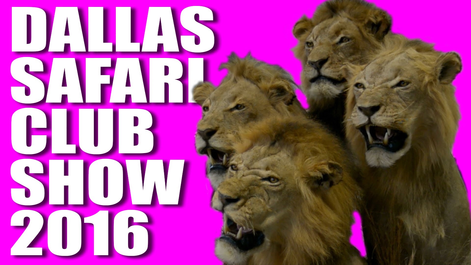 Dallas Safari Club Show 2016 | Fieldsports Channel