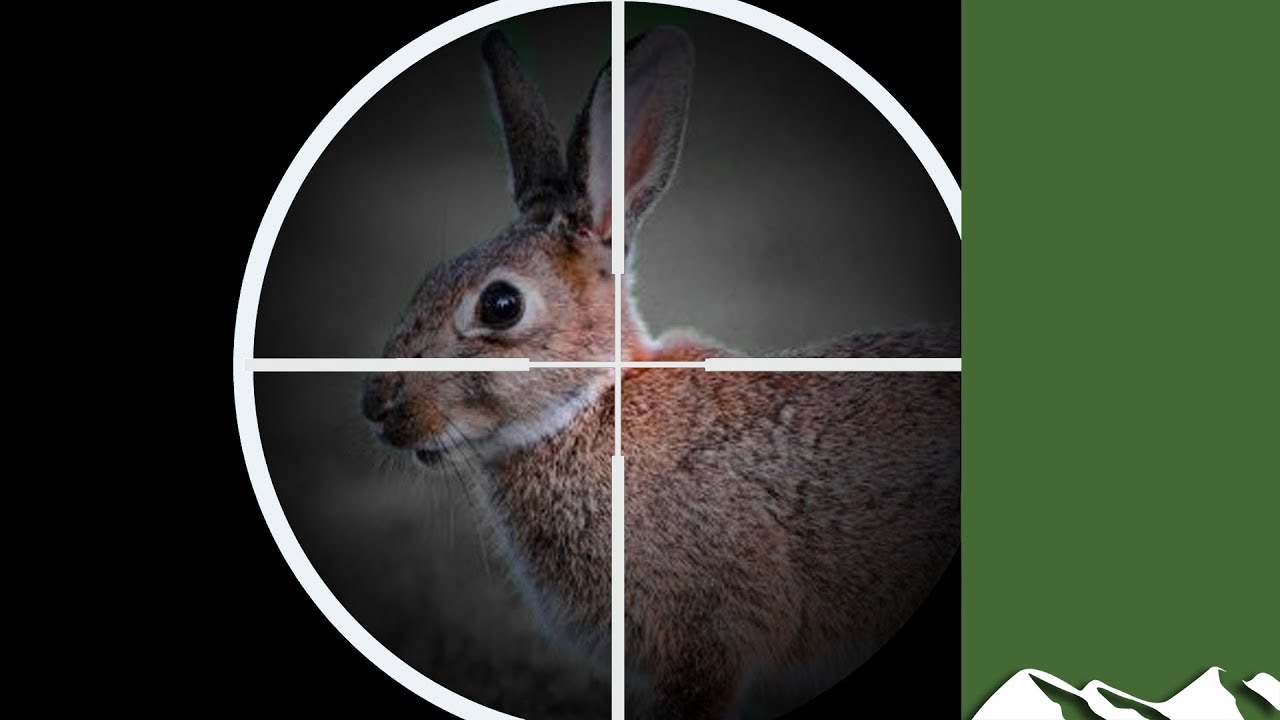 Crow’s lamping rabbits | Fieldsports Channel