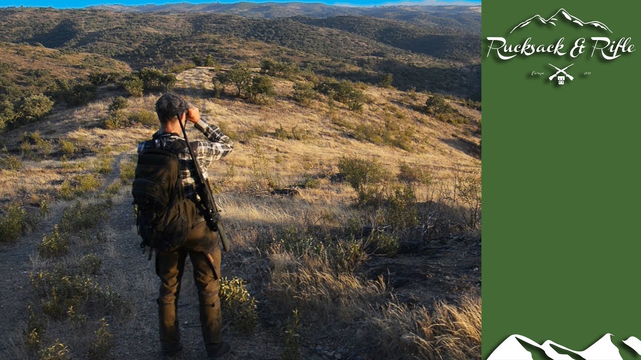 Meat hunting in Portugal | Fieldsports Channel