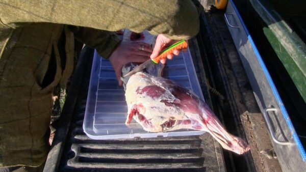 Stalker reviews the Emberleaf knife - Fieldsports Channel