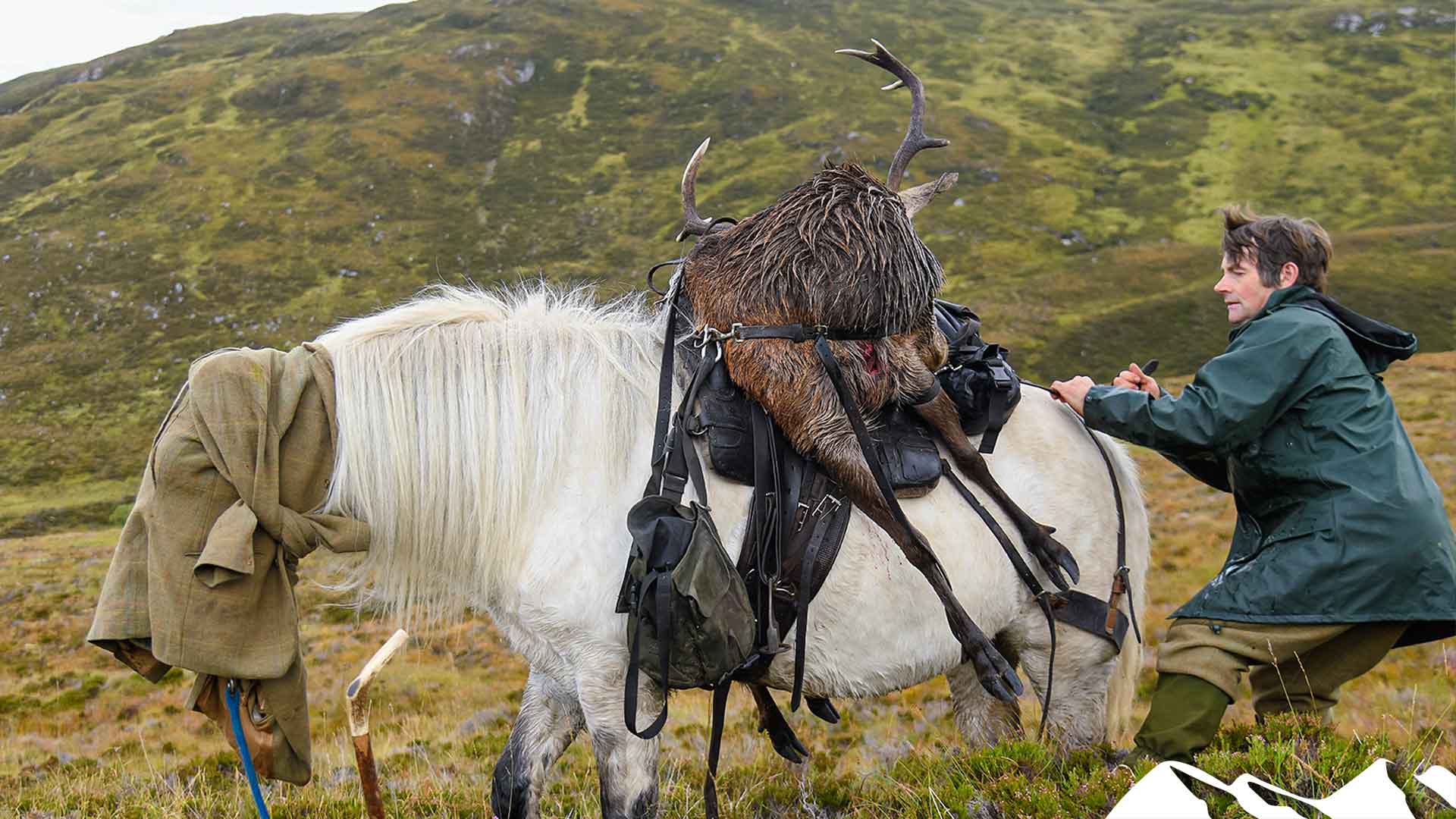 No 10 welcomes shooting supporter – Fieldsports News, 26 October 2022 - Fieldsports Channel