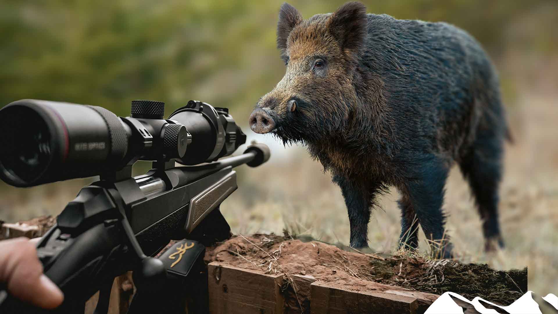 Hunting monster boar in Scotland - Fieldsports Channel
