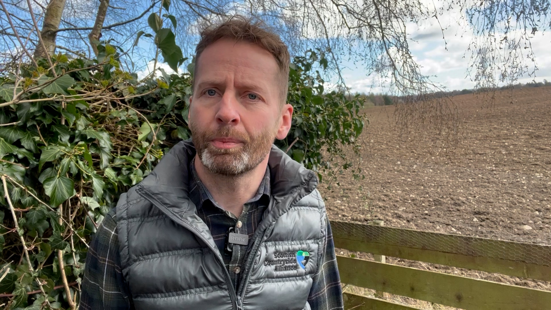 John Muir Trust culls deer worth more than £100,000 out of season ...