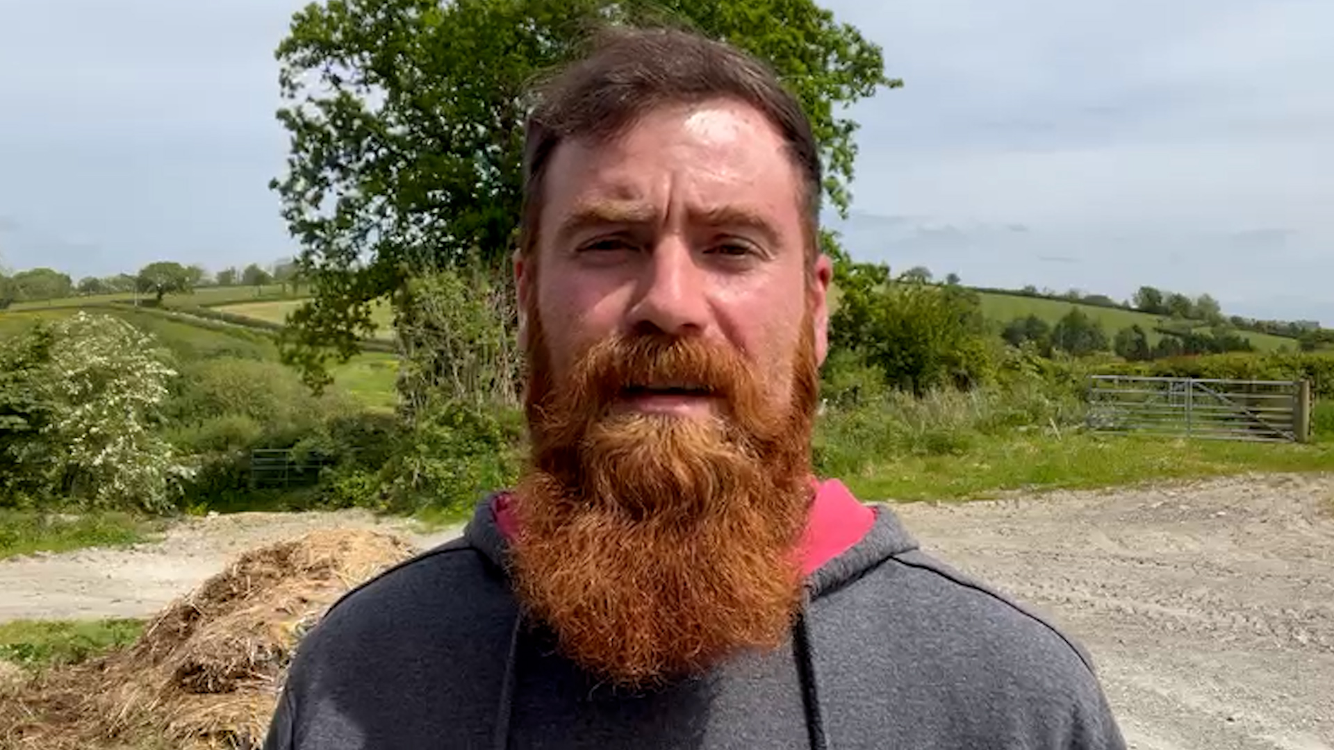 Rewilding Wales threatens nature, fieldsports and farming - Fieldsports ...