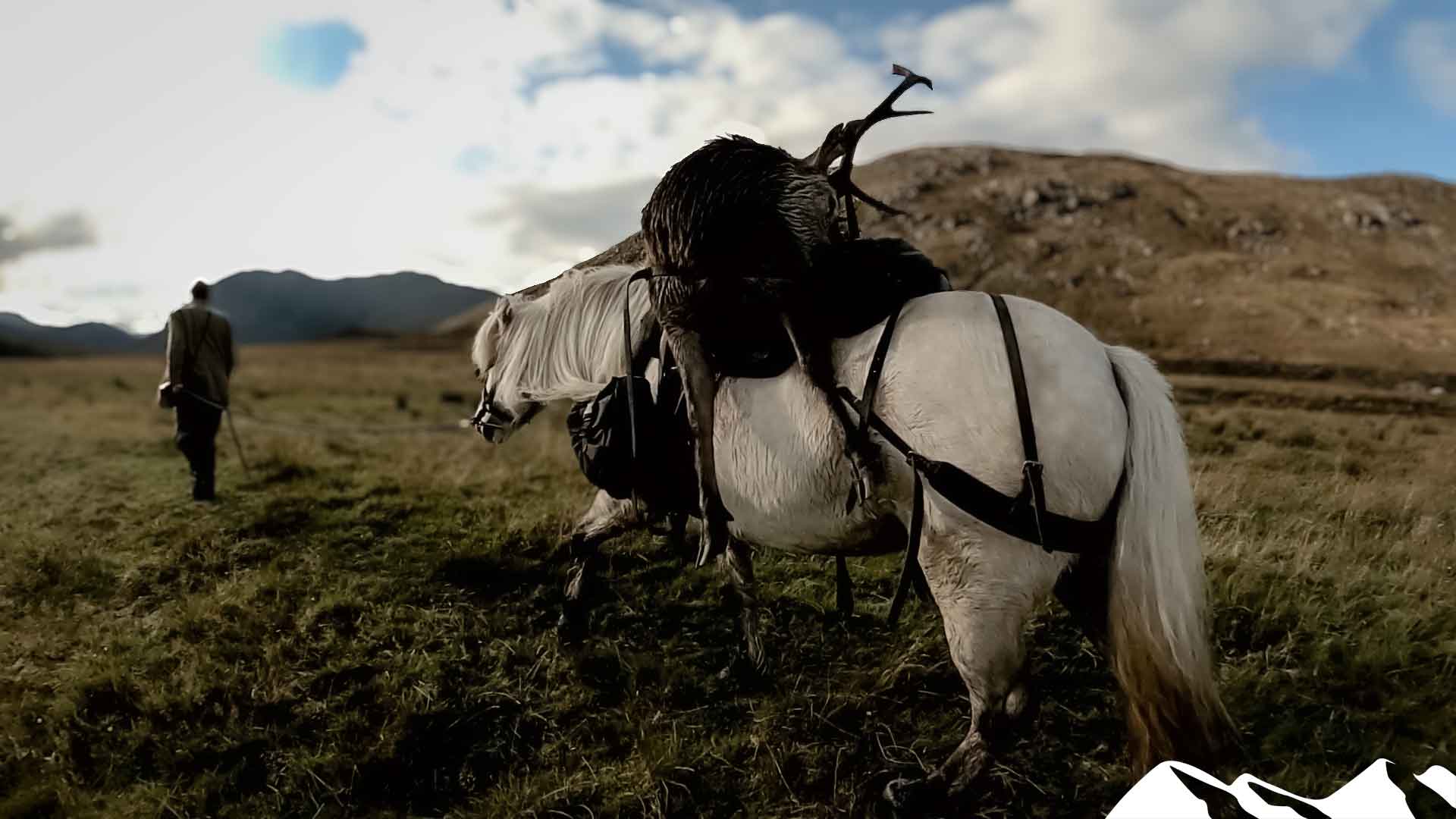 History of the Highland pony, the stalking 'garron' - Fieldsports Channel