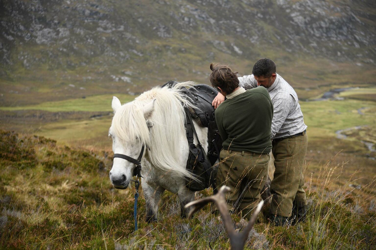 History of the Highland pony, the stalking 'garron' - Fieldsports Channel