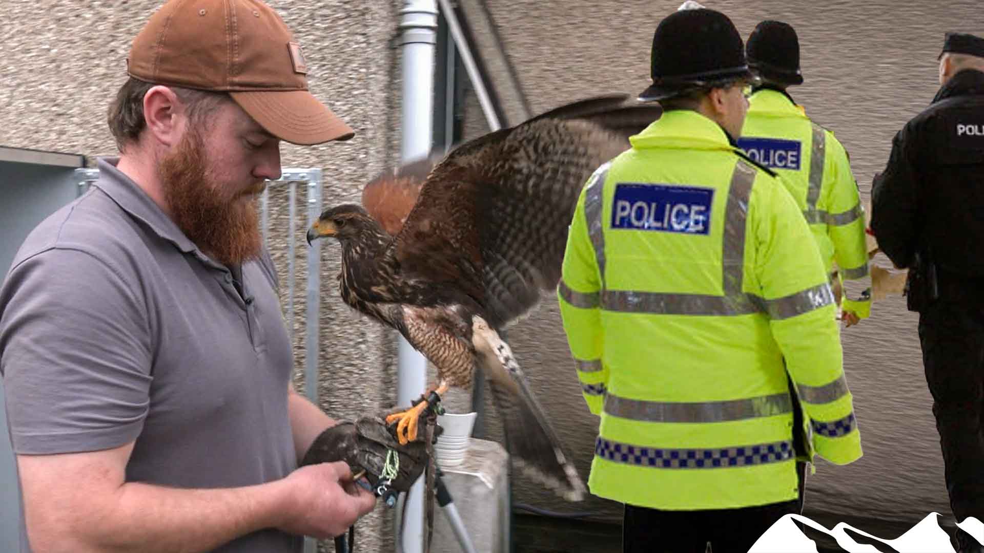 Police grab air rifles from pest controller and charge him ...