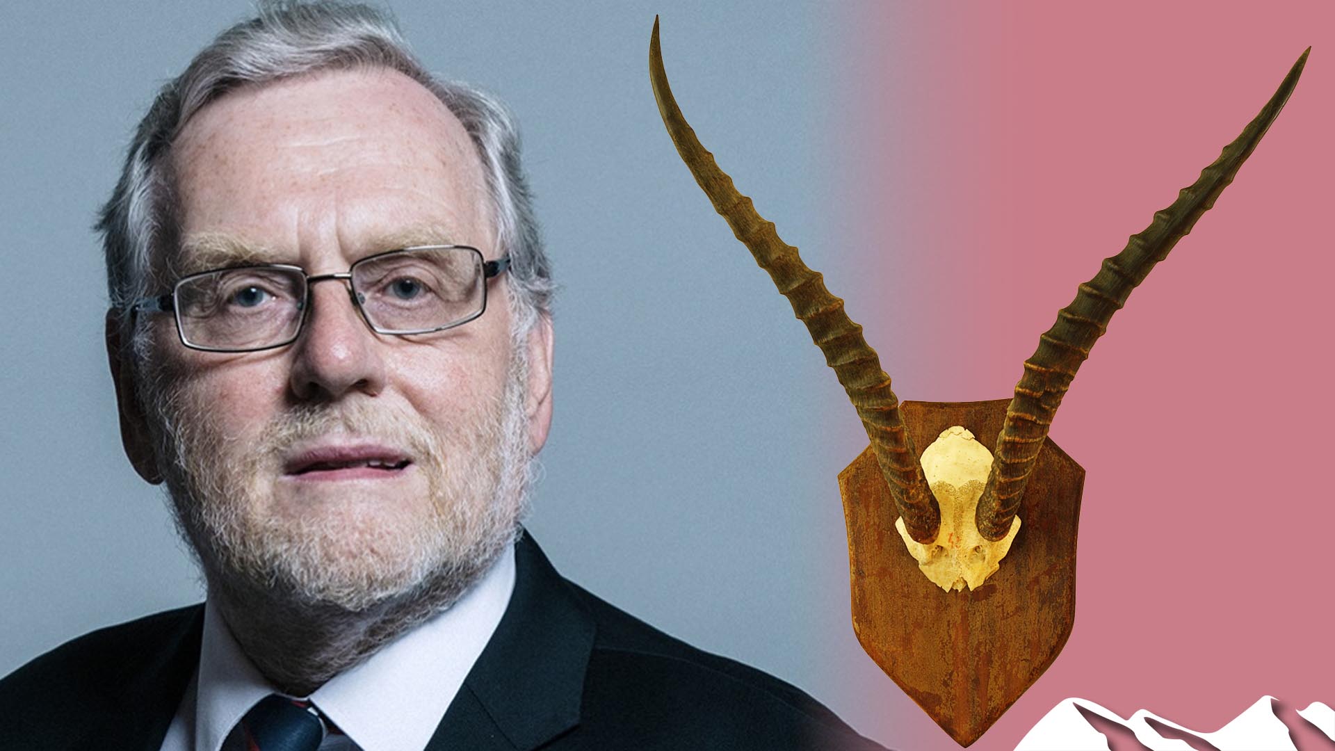 Labour lord plans new trophy imports bill - Fieldsports Channel