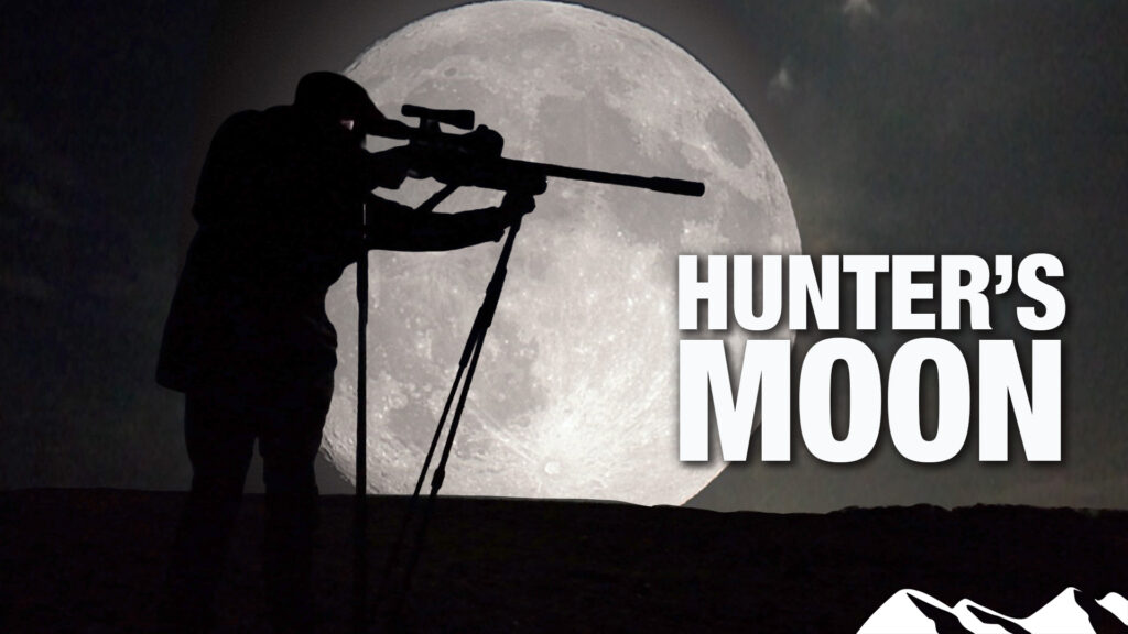 Driven boar hunt with the new Aimpoint COA - Fieldsports Channel